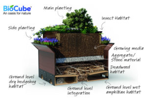 Commercial Introduction - BioScapes
