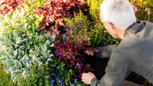 SuDS Rain Garden Planter - BioScapes - 10 Year Warranty