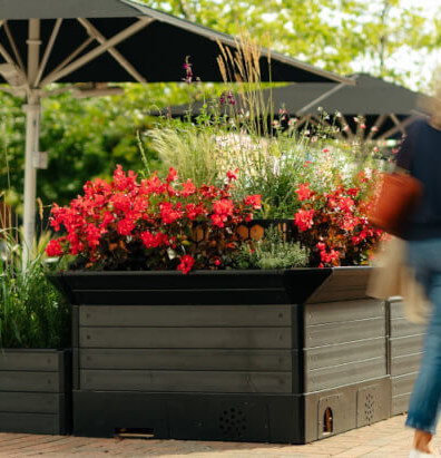 BioScapes | SuDS Planter | Biodiversity Net Gain | Nature-based Solutions